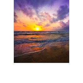 Day/Night Backlit Film