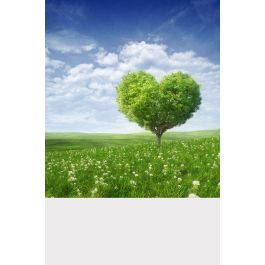 Double Sided Window Graphic