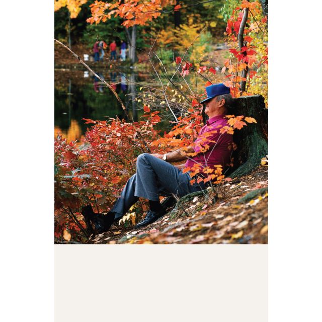 Backlit Graphics for Outdoor Use | Power Graphics