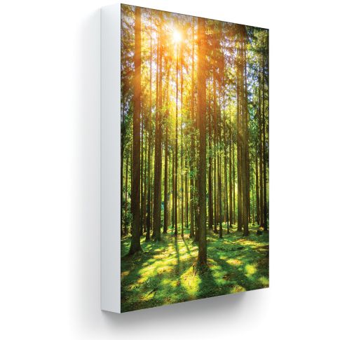 Charisma 48x96 Single Sided LED SEG Fabric Light Box
